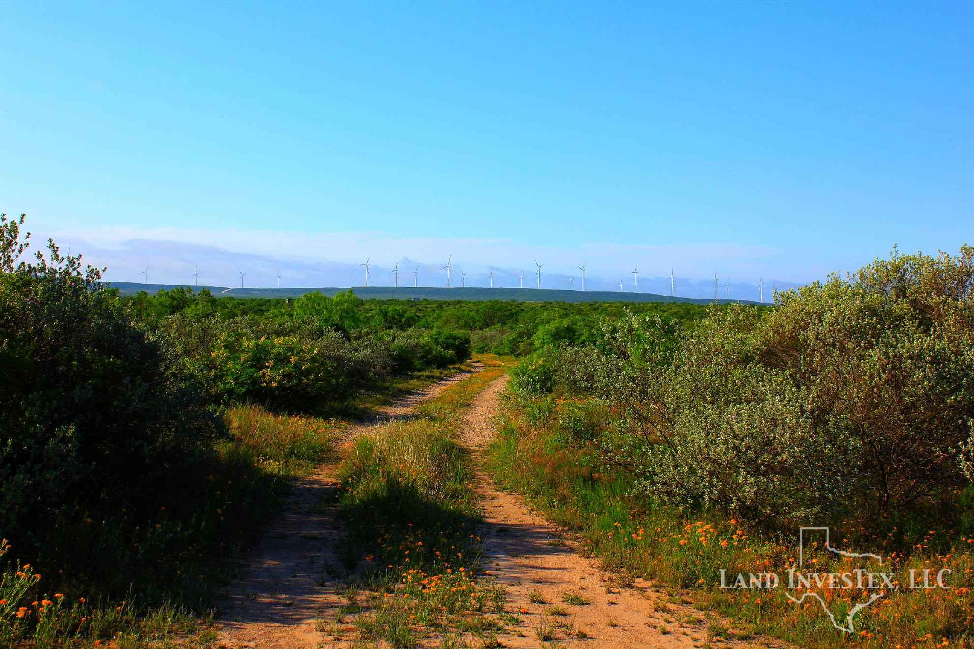 125 acres in Kinney Co. - Land InvesTex LLC